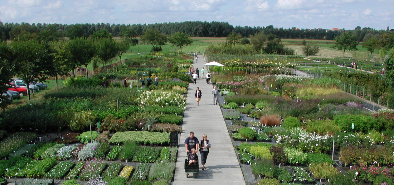 Een blik op de kwekerij | planten-debock.be